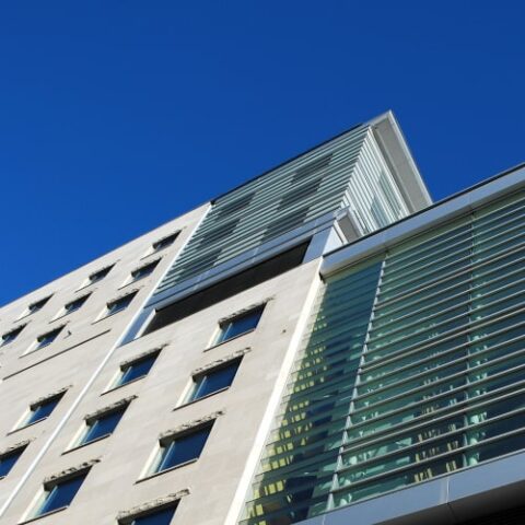 Partners in Local Organization l Better Life Partners