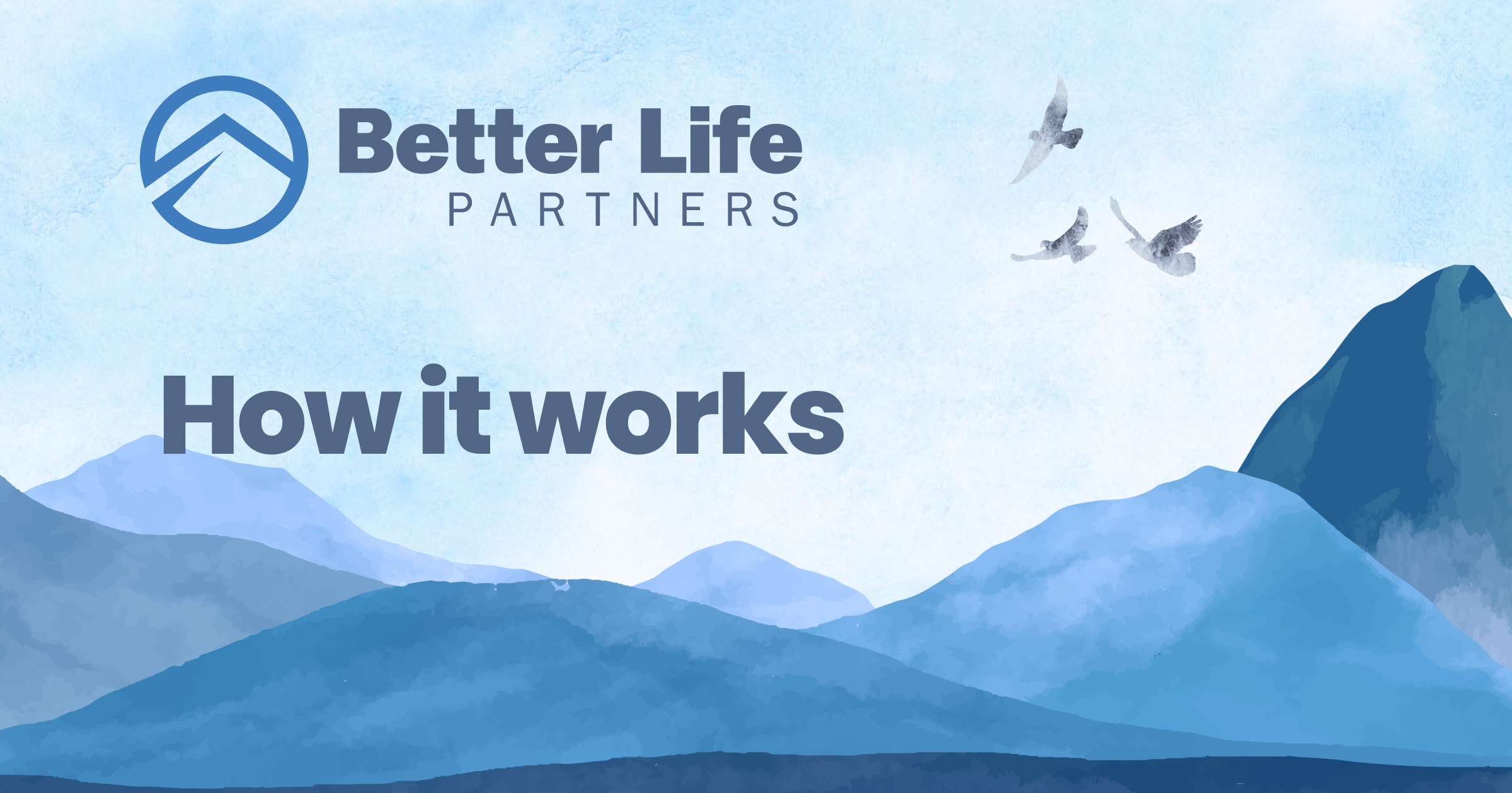 How it works - Better Life Partners